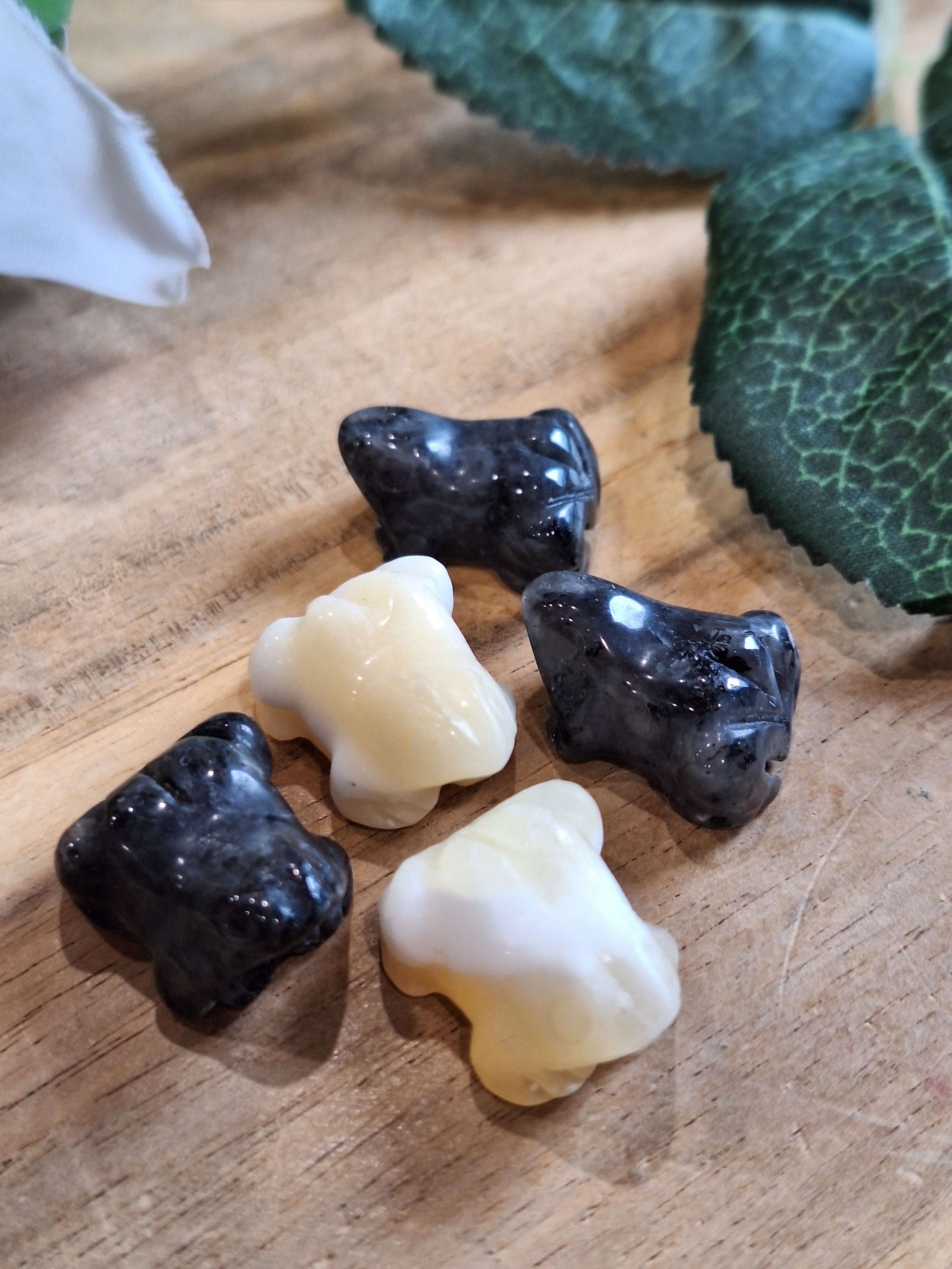 MINI CRYSTAL FROGS – Crystalme