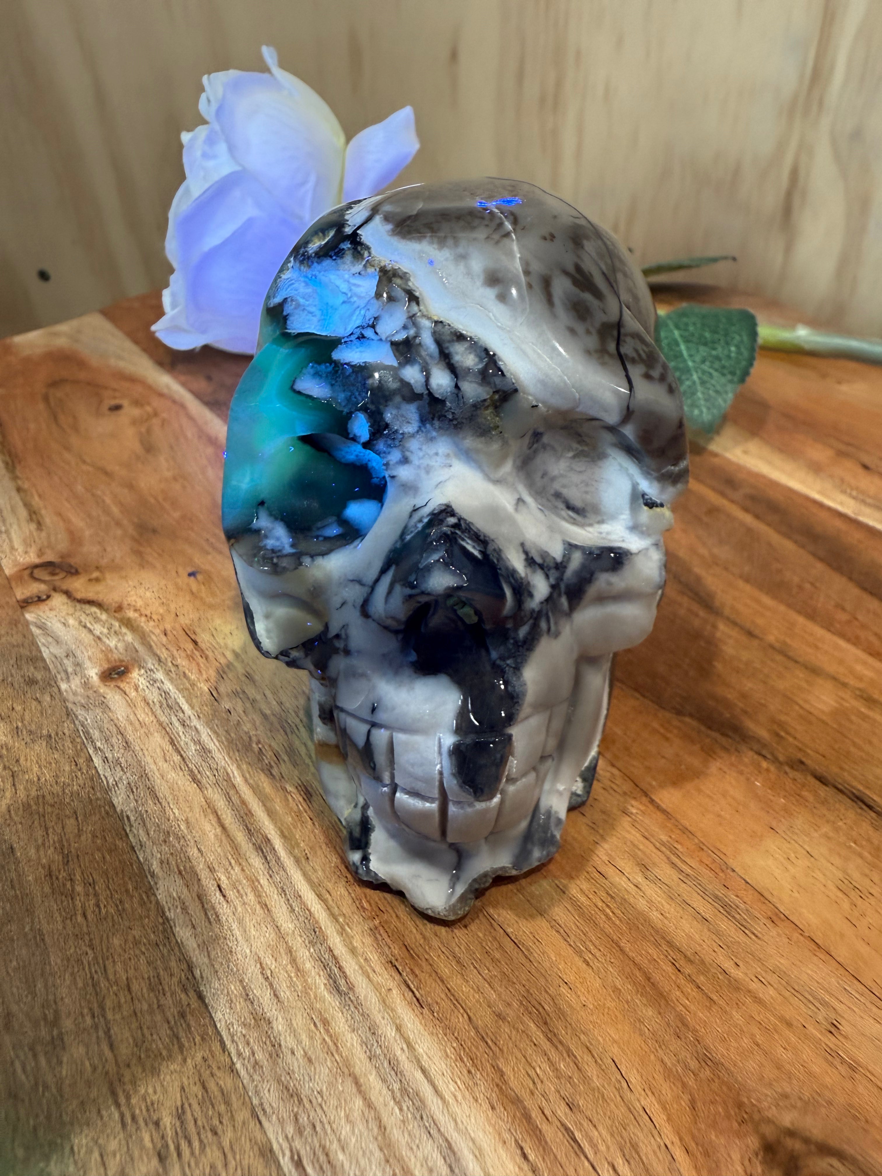 VOLCANO AGATE SKULL – Crystalme